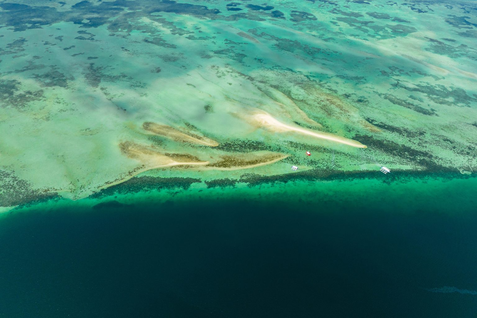 Tañon Strait Protected Seascape (TSPS) between Negros and Cebu Islands ...