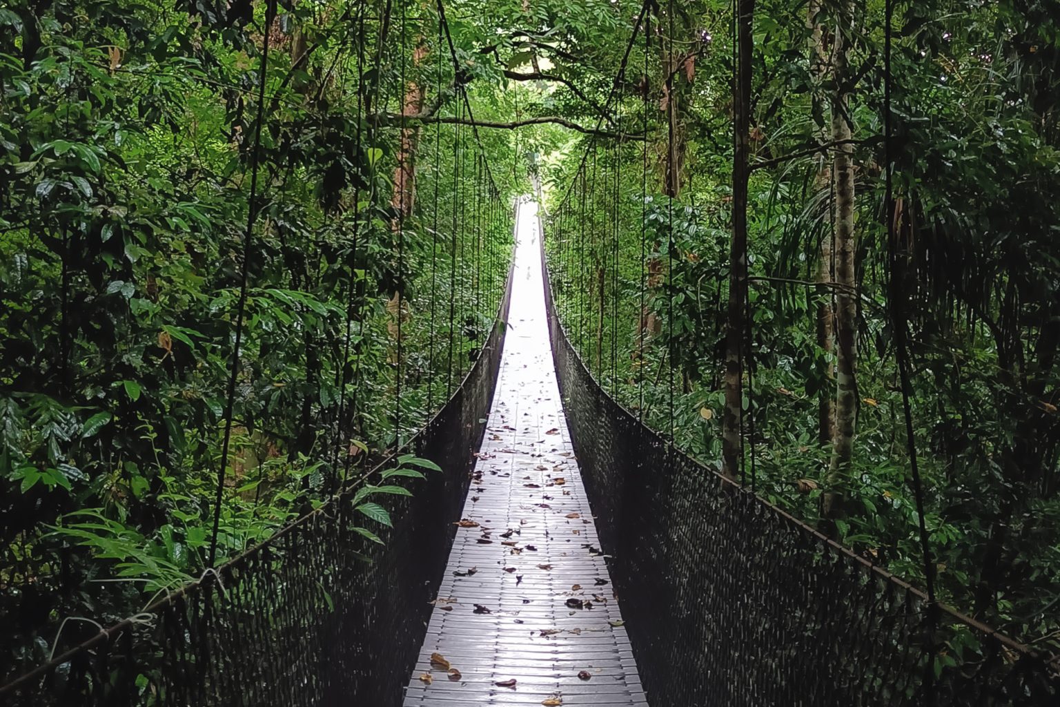 Maulawin Spring Protected Landscape - Fun In The Philippines
