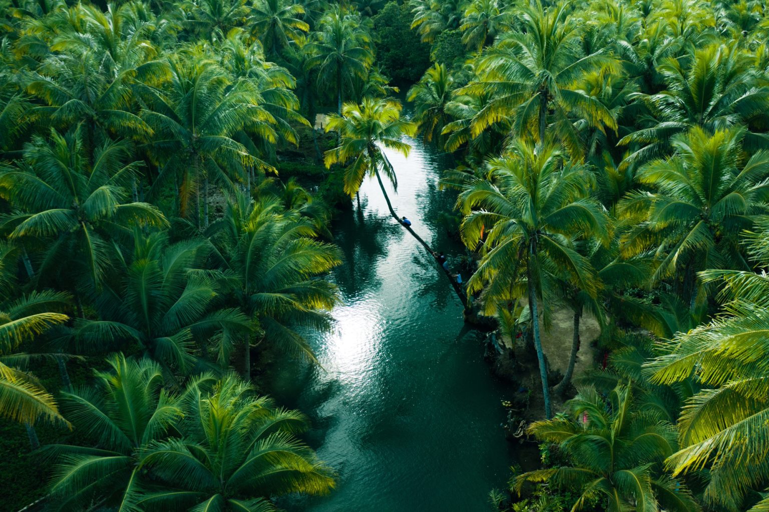 Maasin River in Siargao Island - Fun In The Philippines