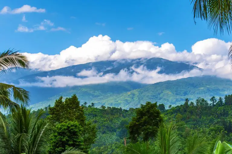 Mount Halcon on Mindoro Island - Fun In The Philippines