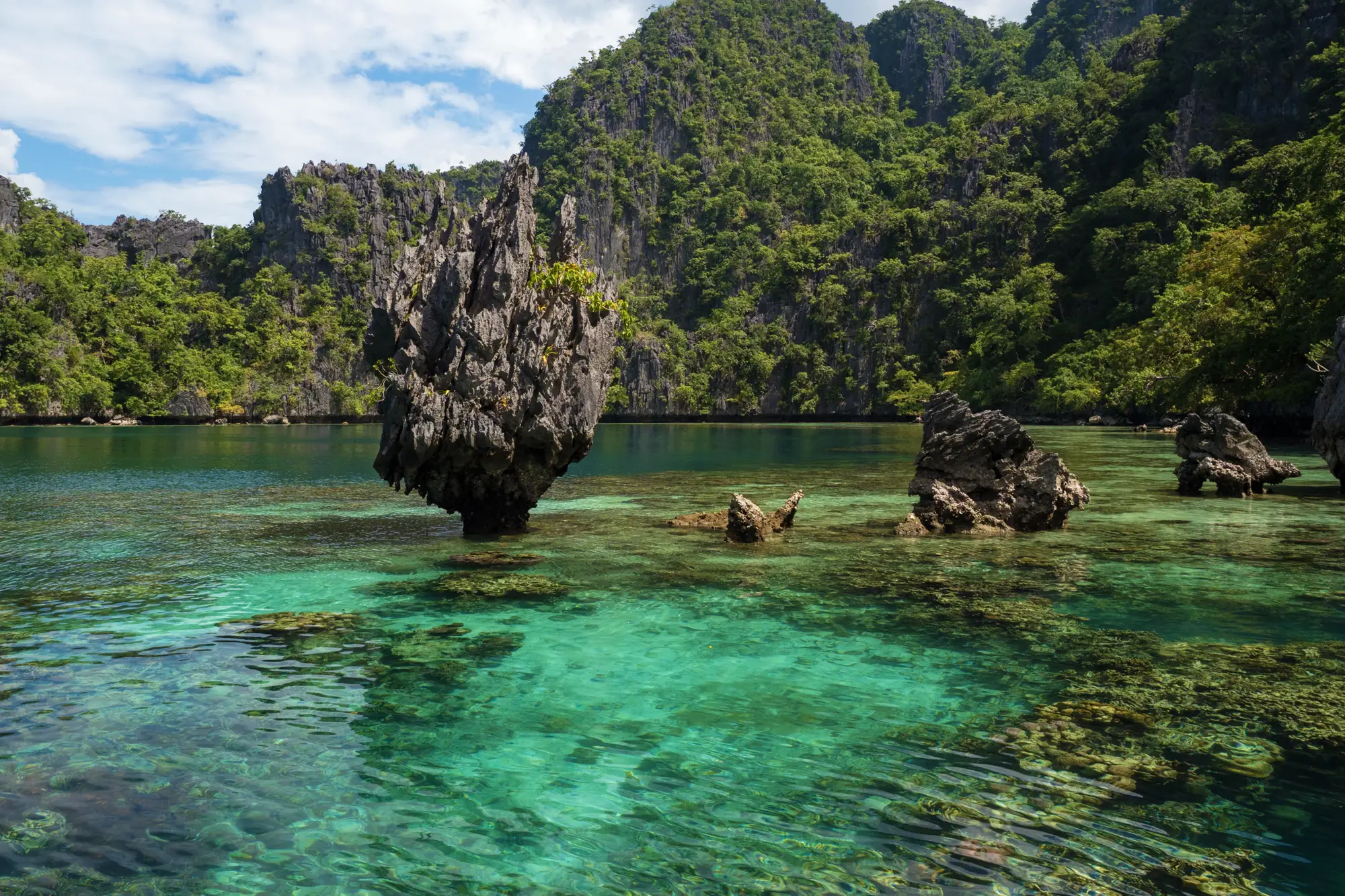 Barracuda Lake in Coron, Palawan Province - Fun In The Philippines